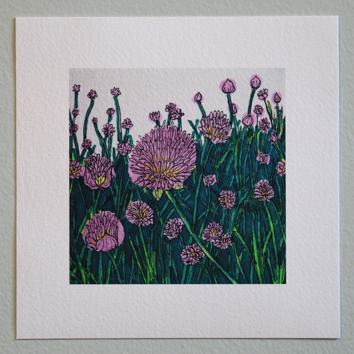 Garden Sketch Flowering Chives Limited Edition Prints - Drawing by ...
