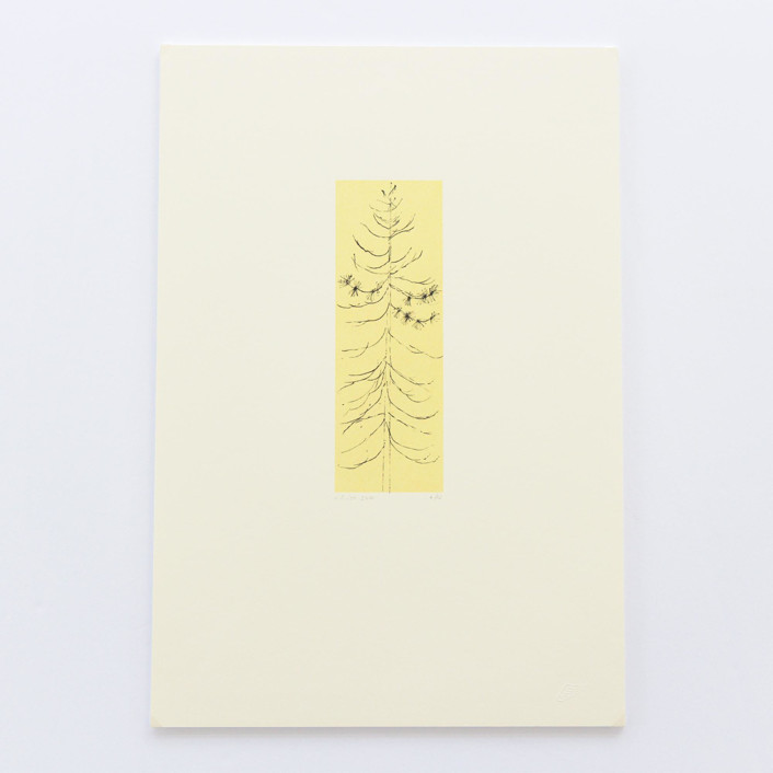 Tamarack Limited Edition Prints - Drawing by Dana Williamowsky | Minted