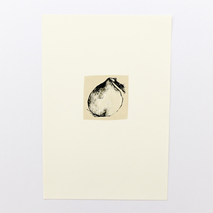 Harvest Onion Limited Edition Prints - Drawing by Dana Williamowsky ...