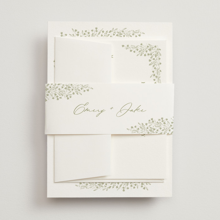 Villa Belly Bands by Kristie Kern | Minted