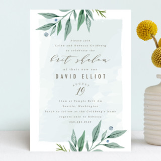 soft branches Bris and Baby Naming Invitations by ... | Minted