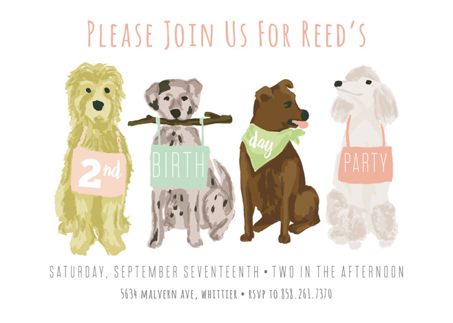 Puppy Line-Up Children's Birthday Party Invitations by Shiny Penny ...