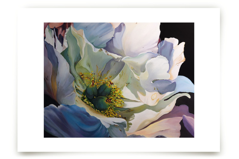 Opalescence Petal Fine Art Prints by Mandy Trimble Leonard | Minted