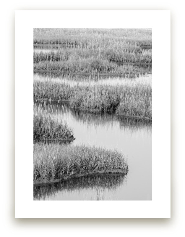 Elizabeth Pyle's Store | Minted