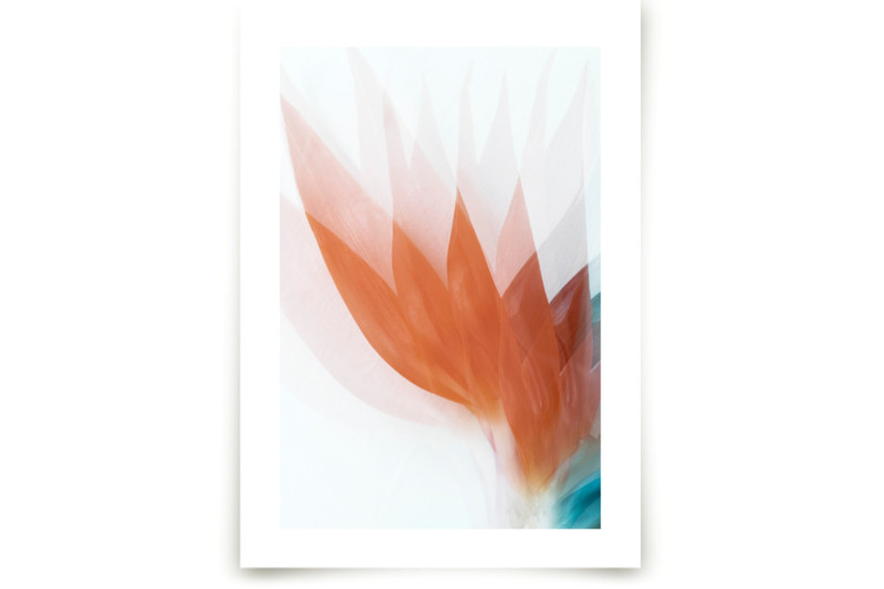 California Darling Fine Art Prints by Tania Medeiros | Minted
