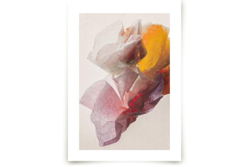 La Fleur I Fine Art Prints by Karen Kardatzke | Minted