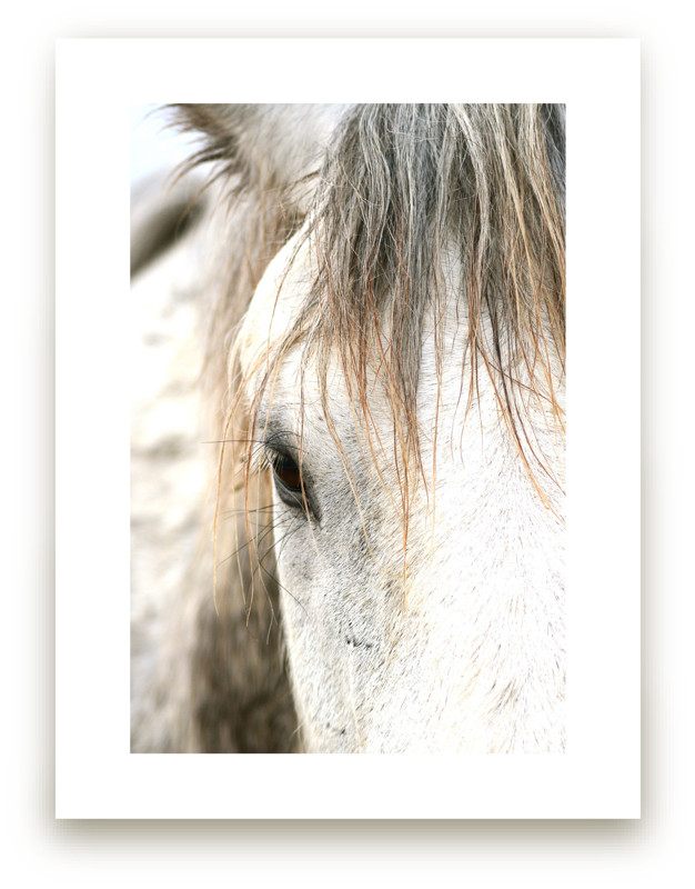 Michelle Detering's Store | Minted