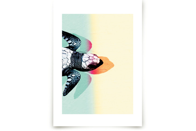 New Life Fine Art Prints by The Savage Label | Minted