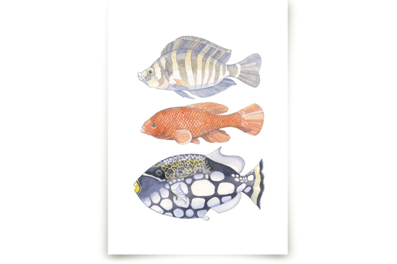Three Fish Fine Art Prints by Natalie Groves | Minted