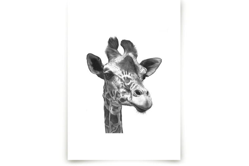 Giraffe Fine Art Prints by Jerry Winick | Minted