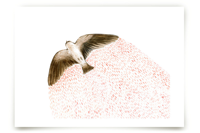 Soaring Bird Fine Art Prints by Eve Schultz | Minted