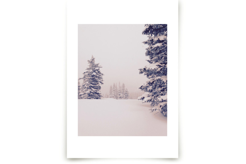 Softly Falling Fine Art Prints by Colby Zeiser | Minted