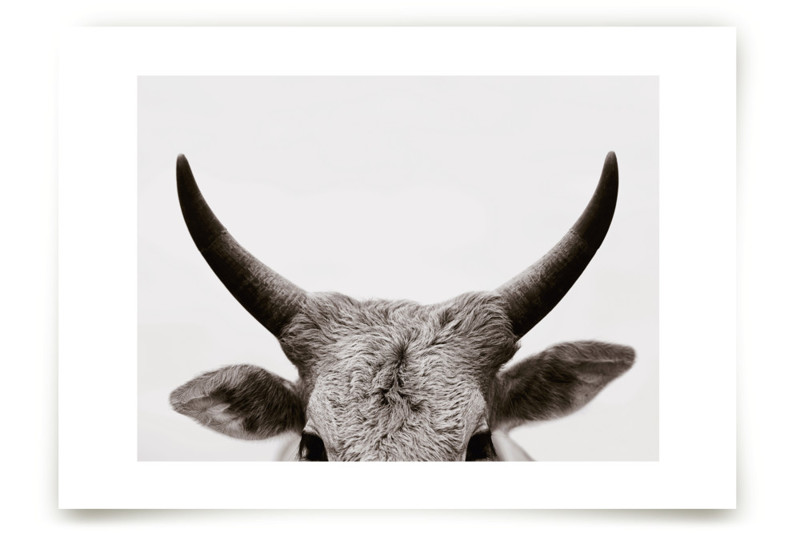 Jane Gallagher No. 2 Fine Art Prints by Amy Carroll | Minted