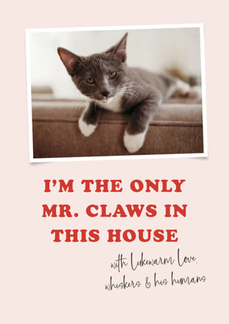 Mr. Claws Holiday Postcards by Anna Elder | Minted