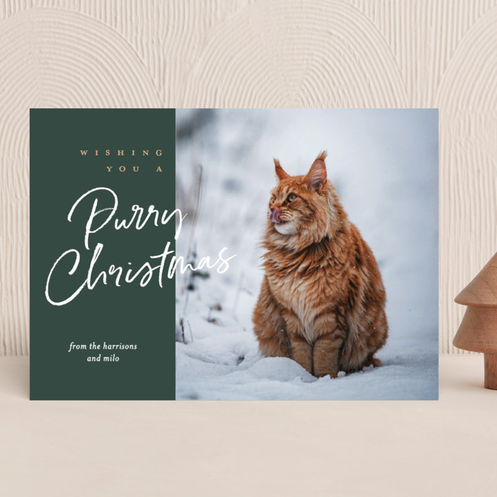 purry christmas Holiday Photo Cards by Eric Clegg | Minted