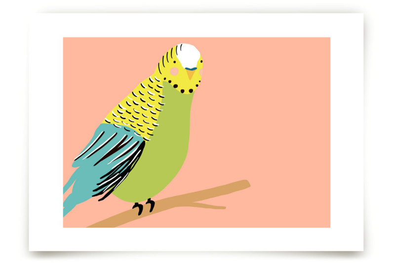 Sweet Parakeet Children's Art Prints by merry mack creative | Minted