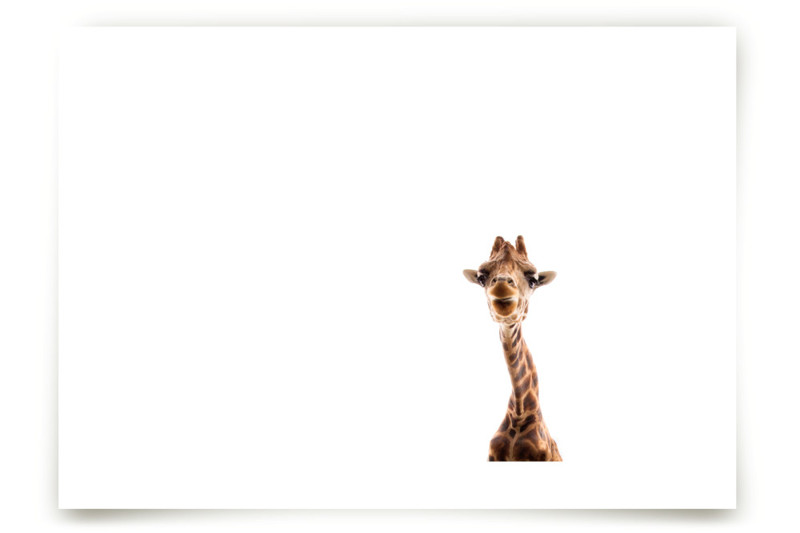 Hello up there! Children's Art Prints by Alicia Abla | Minted