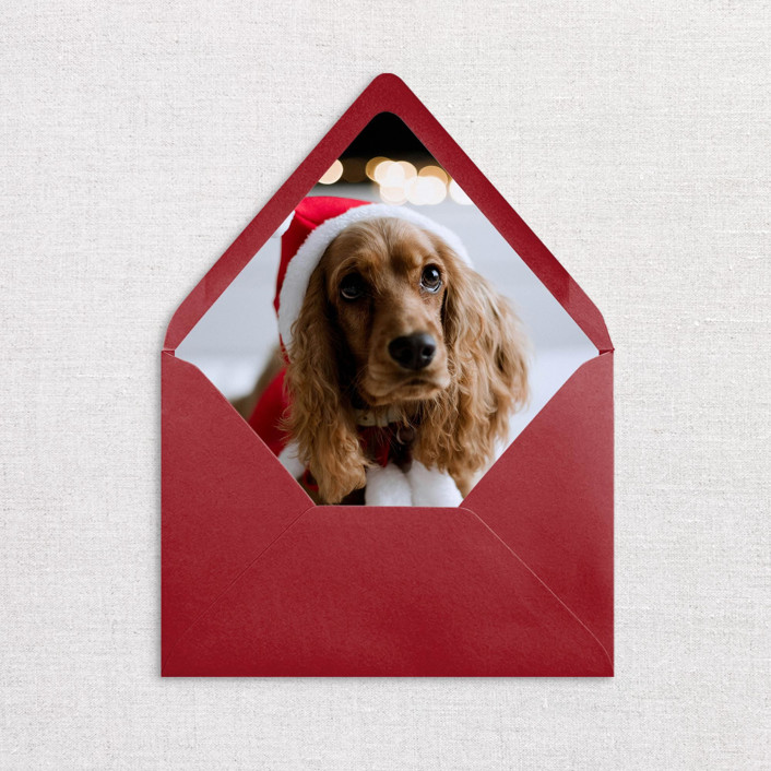 Custom Pet Photo Envelope Liners, Pack of 25 Envelope Liners by Studio ...