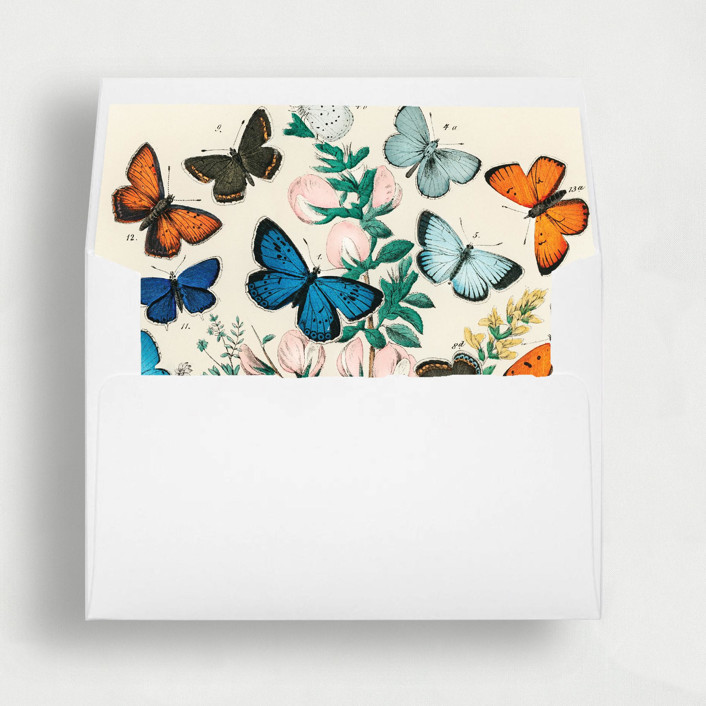 Colorful Butterfly Liner | Set of 25 Square Envelope Liners Envelope ...