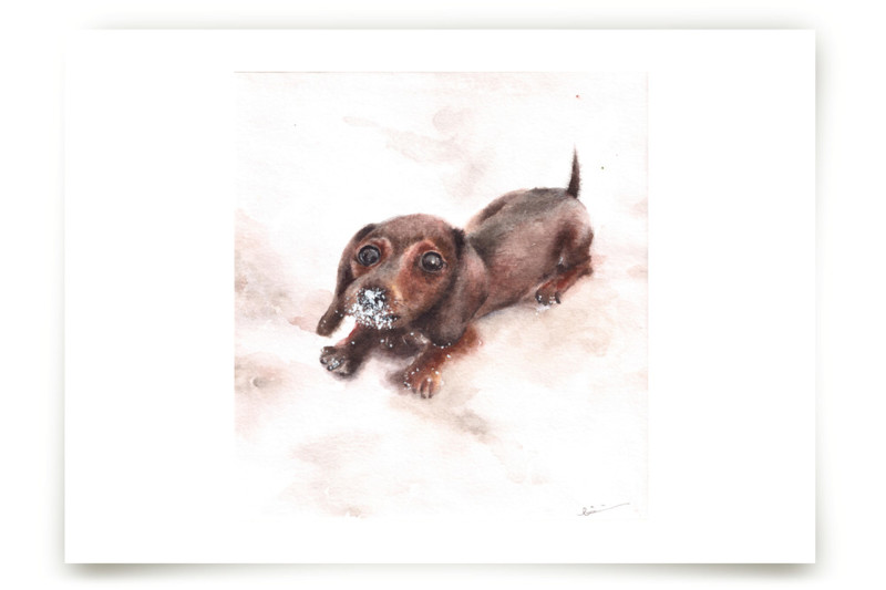 Weiner dog with a nose full of snow Fine Art Prints by XL | Minted