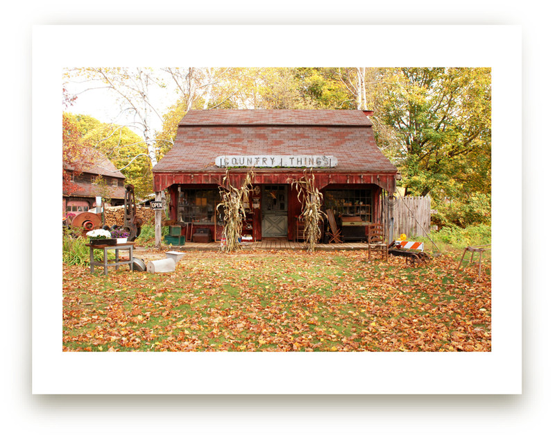 Monica Cheng's Store | Minted