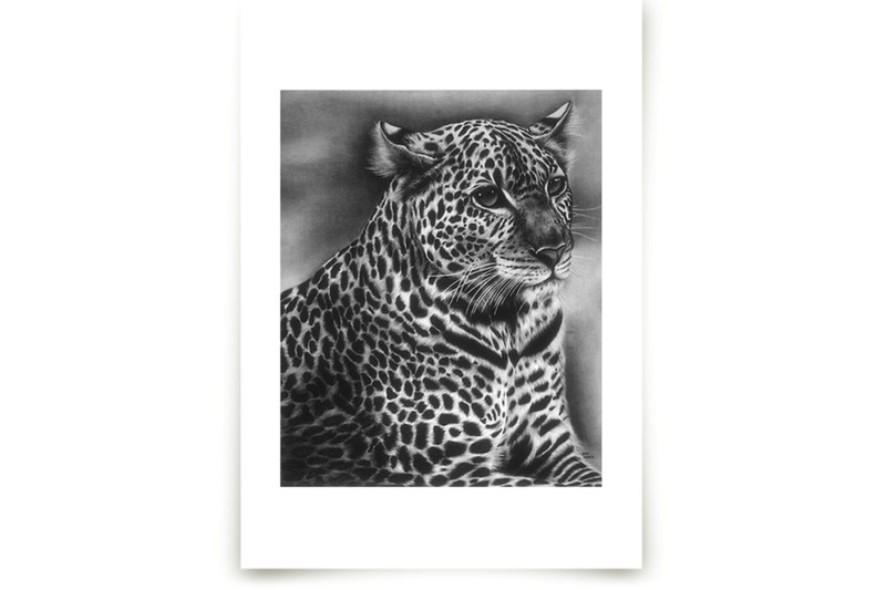 Furry Leopard Fine Art Prints by Jerry Winick | Minted