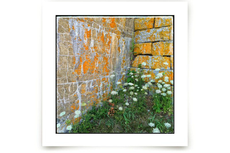 Orange Textured Wall Fine Art Prints by Andy Mars | Minted