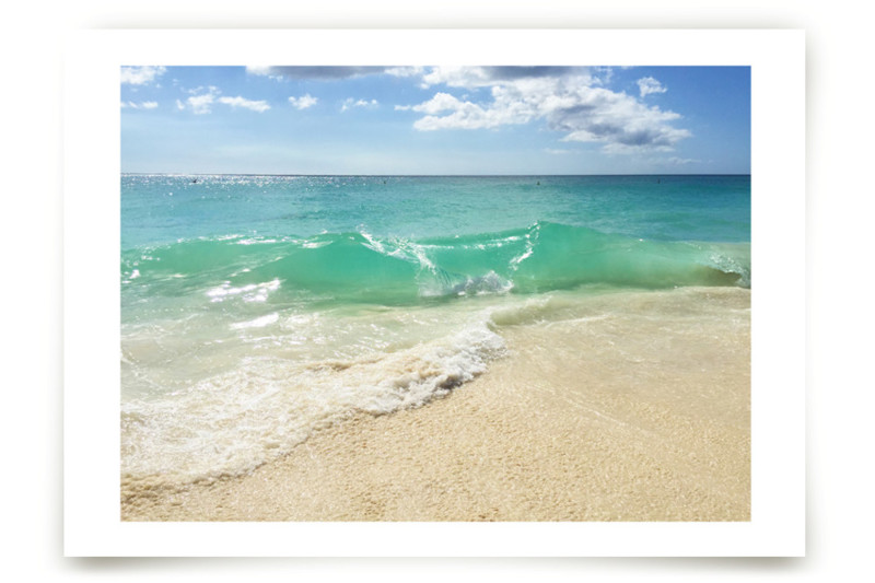 A Splash of Green Fine Art Prints by Carole Crohan - CaroleeXpressions ...