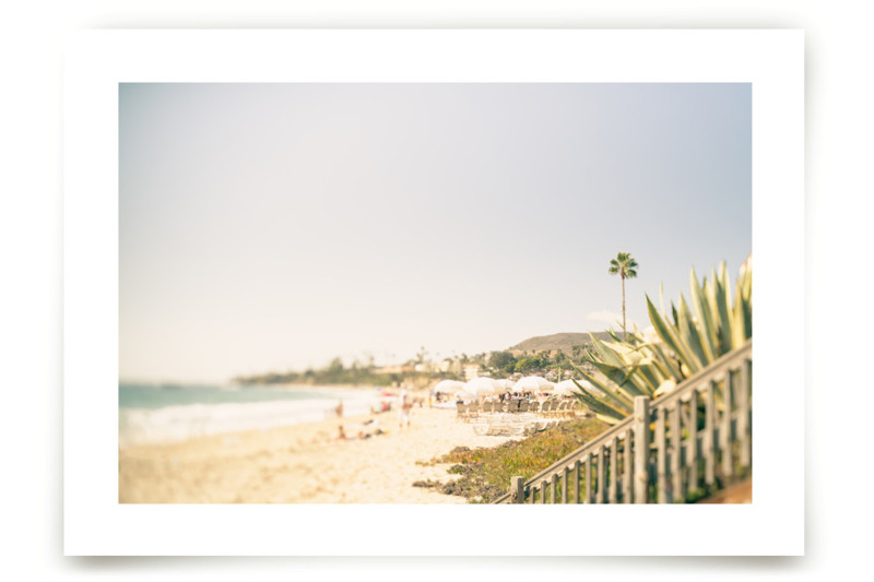 Dear June Fine Art Prints by Shawna Urban | Minted
