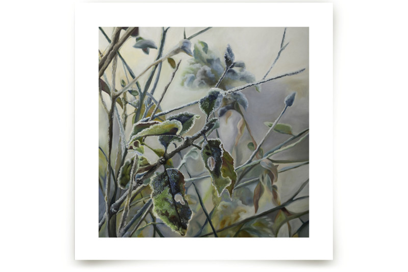 Frosted by Fog 2 Fine Art Prints by Mandy Trimble Leonard | Minted