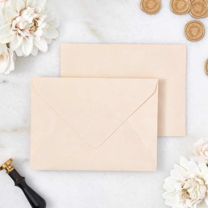 Champagne Velvet Envelopes Envelopes by PAPER and LACE | Minted