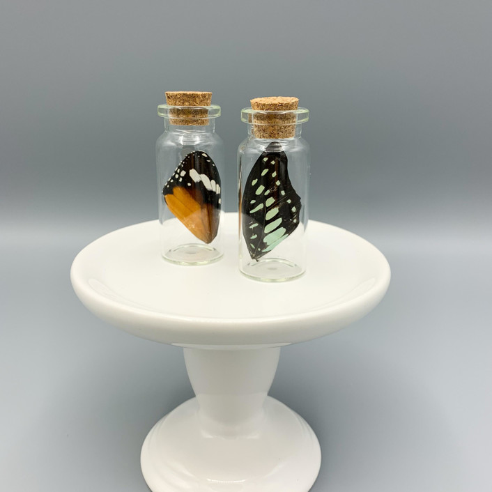 Set Of Real Butterfly Wings Unique Wedding Centerpiece Decor ...