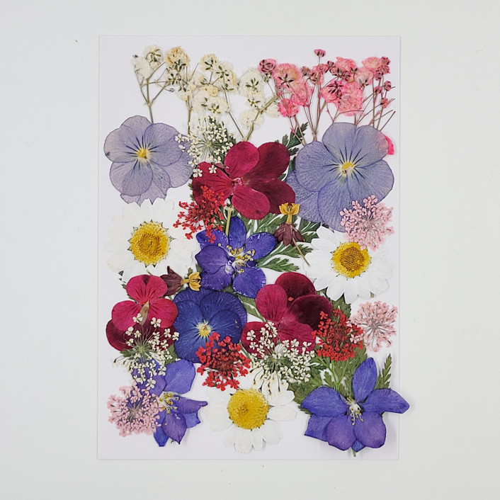 Pressed Flowers | "Summer Splendor" | Multicolor | 32 pcs Dried Florals ...
