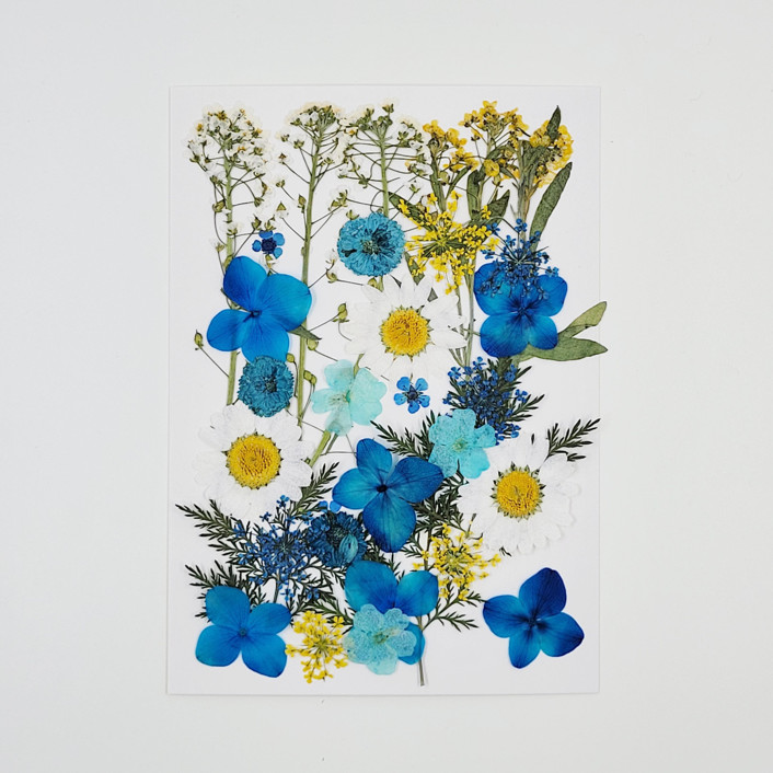 Pressed Flowers | "Beautiful in Blue" | Blue collection | 33pcs Dried ...