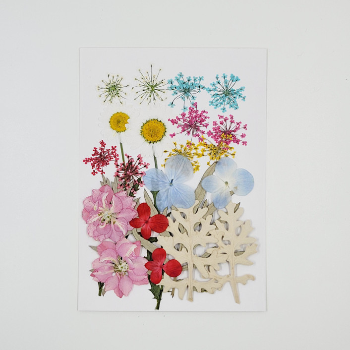 Pressed Flowers | "The Firework" | Multicolor | 22 pcs Dried Florals by ...