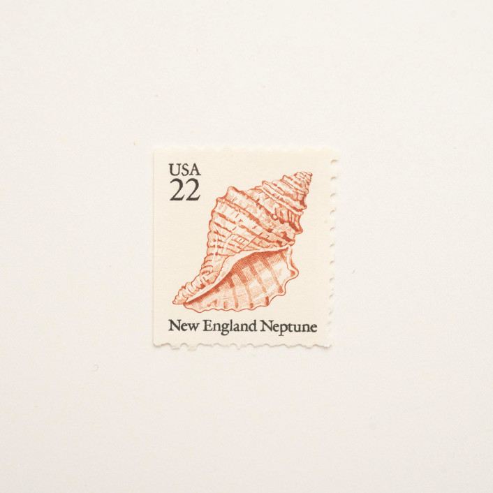 22 Cent New England Neptune Seashell Postage Stamps // Set of 10 ...