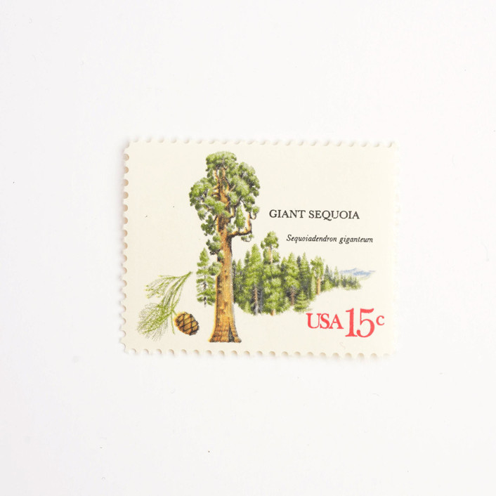 15 Cent Sequoia Tree Postage Stamps // Set of 10 // UNUSED vintage ...