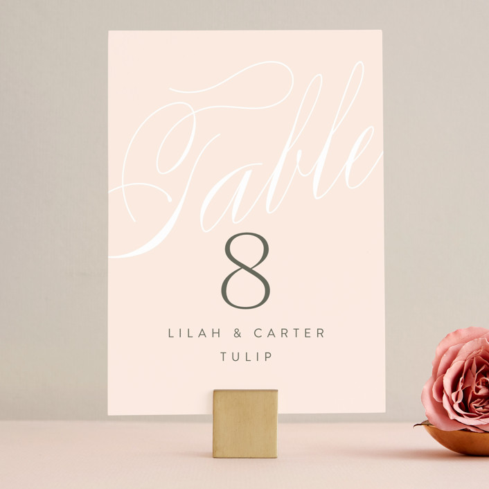 Classic Lux Table Numbers by Stacey Day | Minted