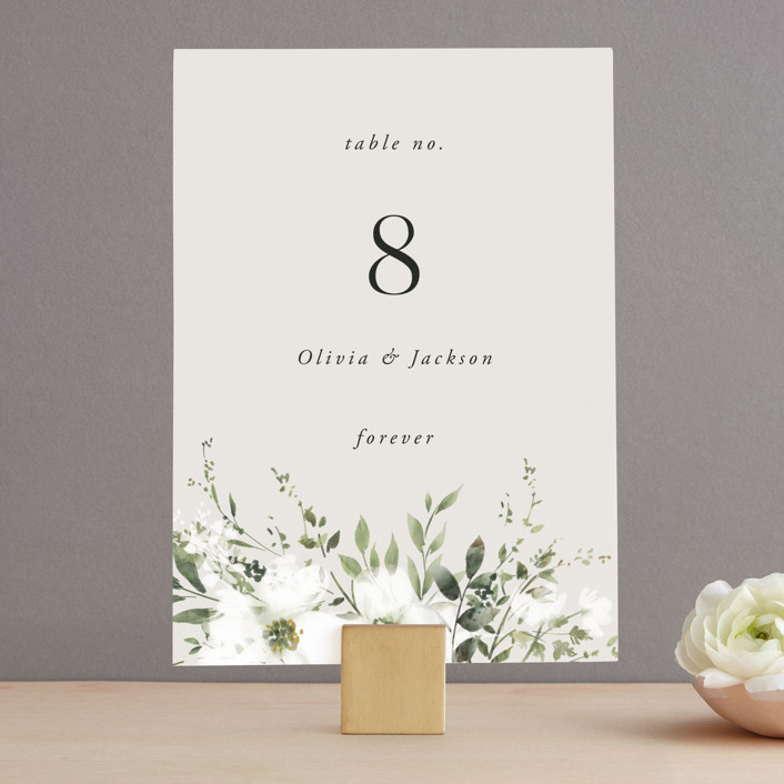Verde Table Numbers by Petra Kern | Minted
