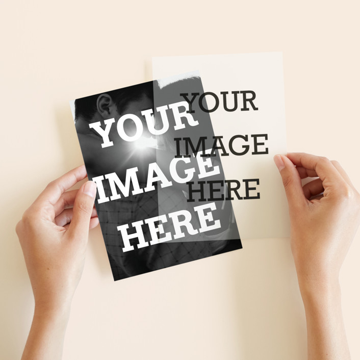 The Big Picture Vellum Overlays by Minted | Minted