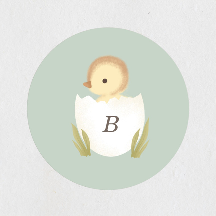 Lil Duck Baby Shower Stickers by Itsy Belle Studio | Minted